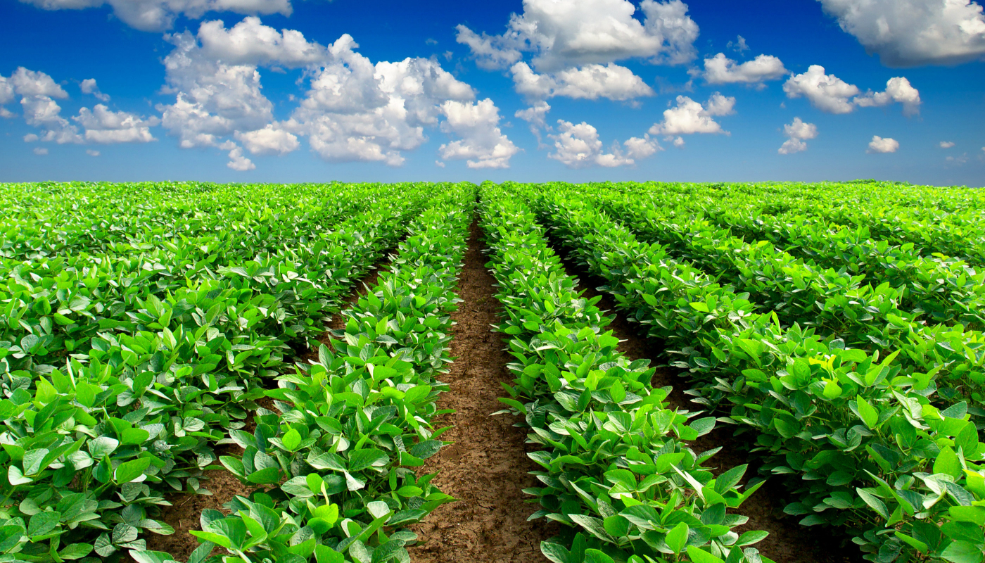 Goodbye Digital Sharecropping, Hello Owned Media